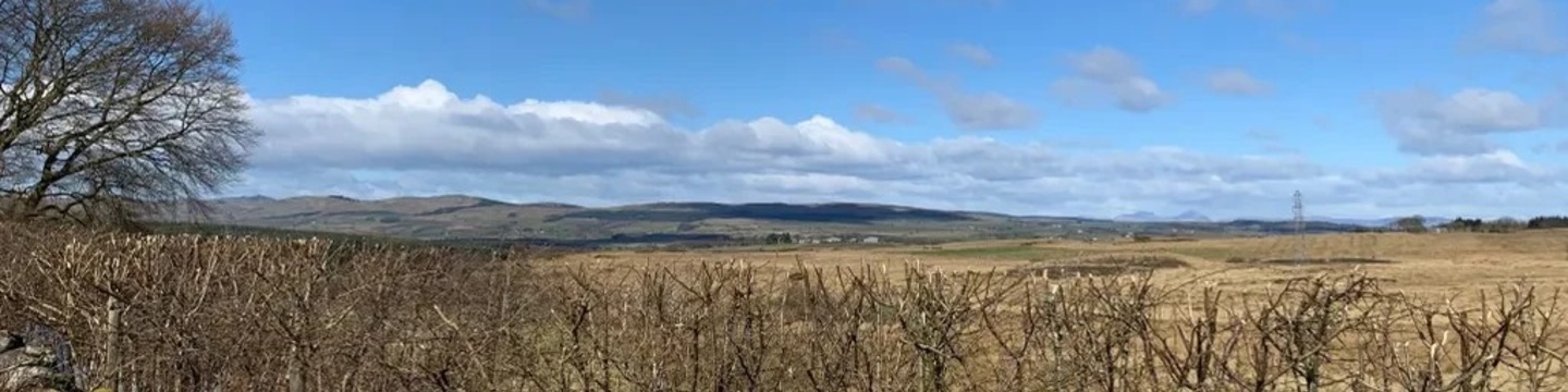 Project: Abronhill to Palacerigg Country Park - Walking,... | Ethos ...